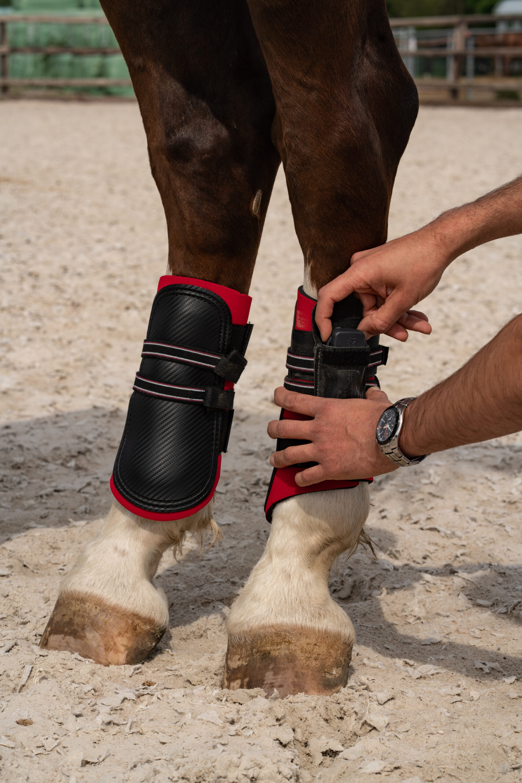 Wireless Equine Gait Analysis - Inertia Technology