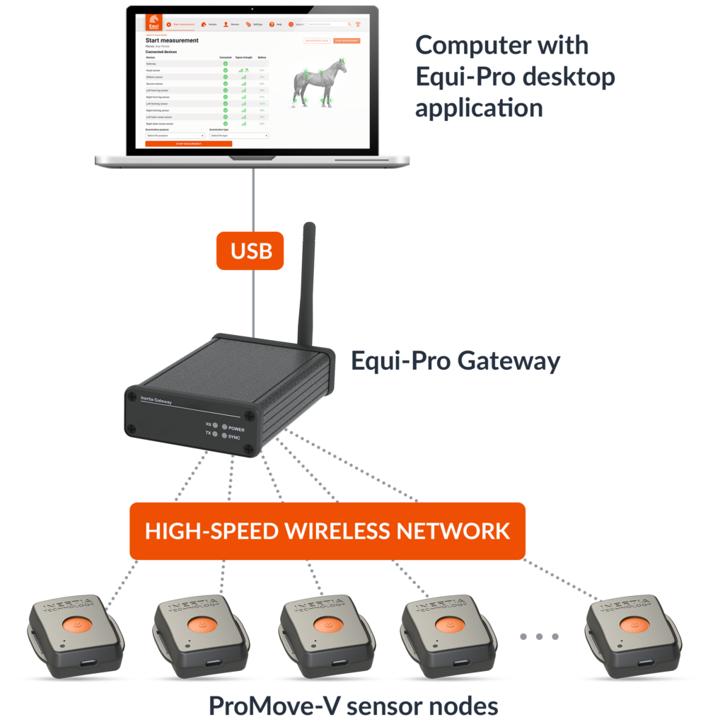 Equi-Pro® - the mobile gait analysis system for Equine Professionals