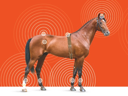 Inertia is a sponsor of ICEL9 and Locomotion in Practice Conference 2023 - Inertia Technology